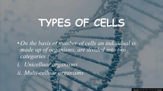 FUNDAMENTAL UNIT OF LIFE | PDF