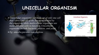 FUNDAMENTAL UNIT OF LIFE | PDF