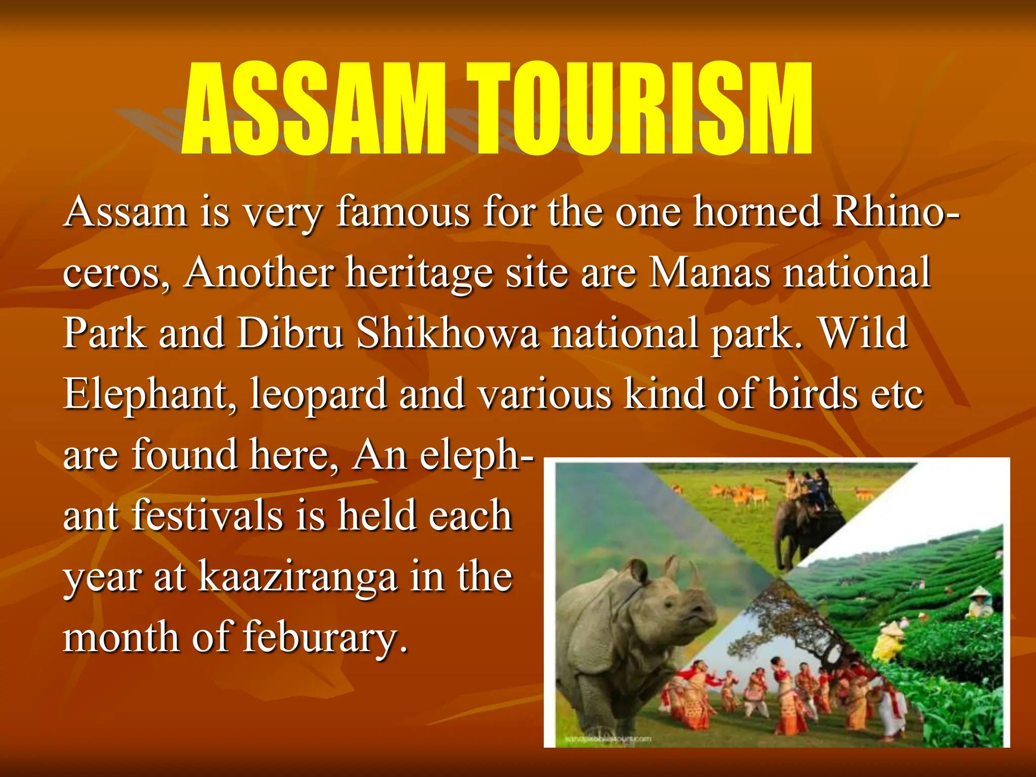 Assam slide share by Jyotika Panjwani... | PPT