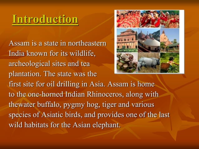 Assam slide share by Jyotika Panjwani... | PPT | Hinduism | Religion ...