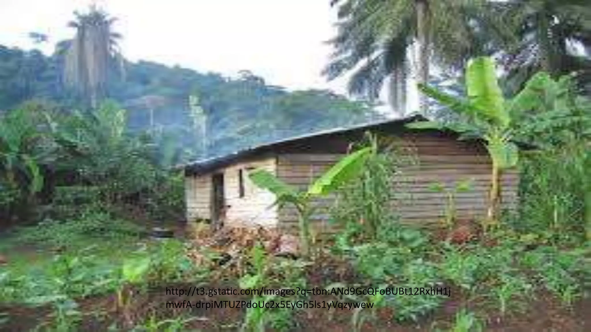 The country of Cameroon | PPTX