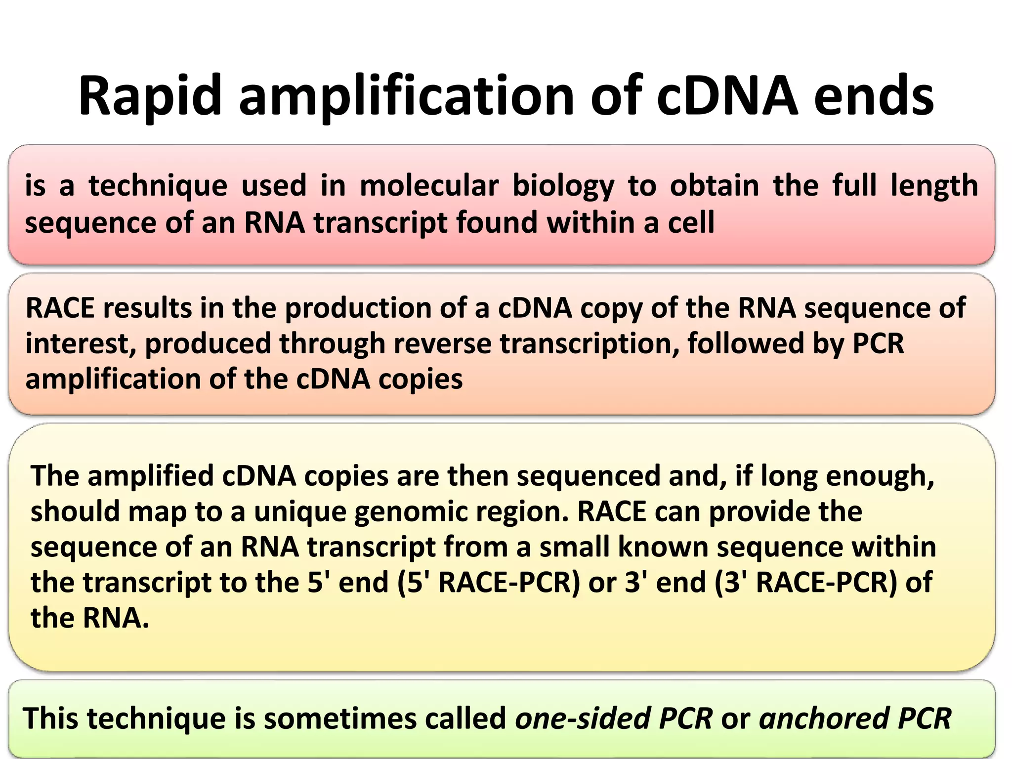 Rapid amplification of c-DNA ends | PPTX