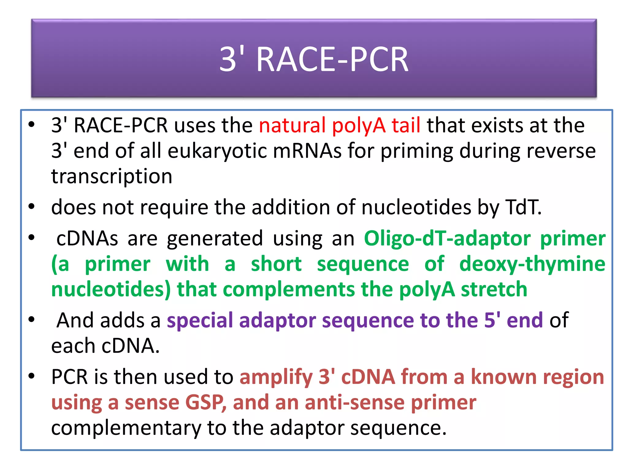 Rapid amplification of c-DNA ends | PPTX