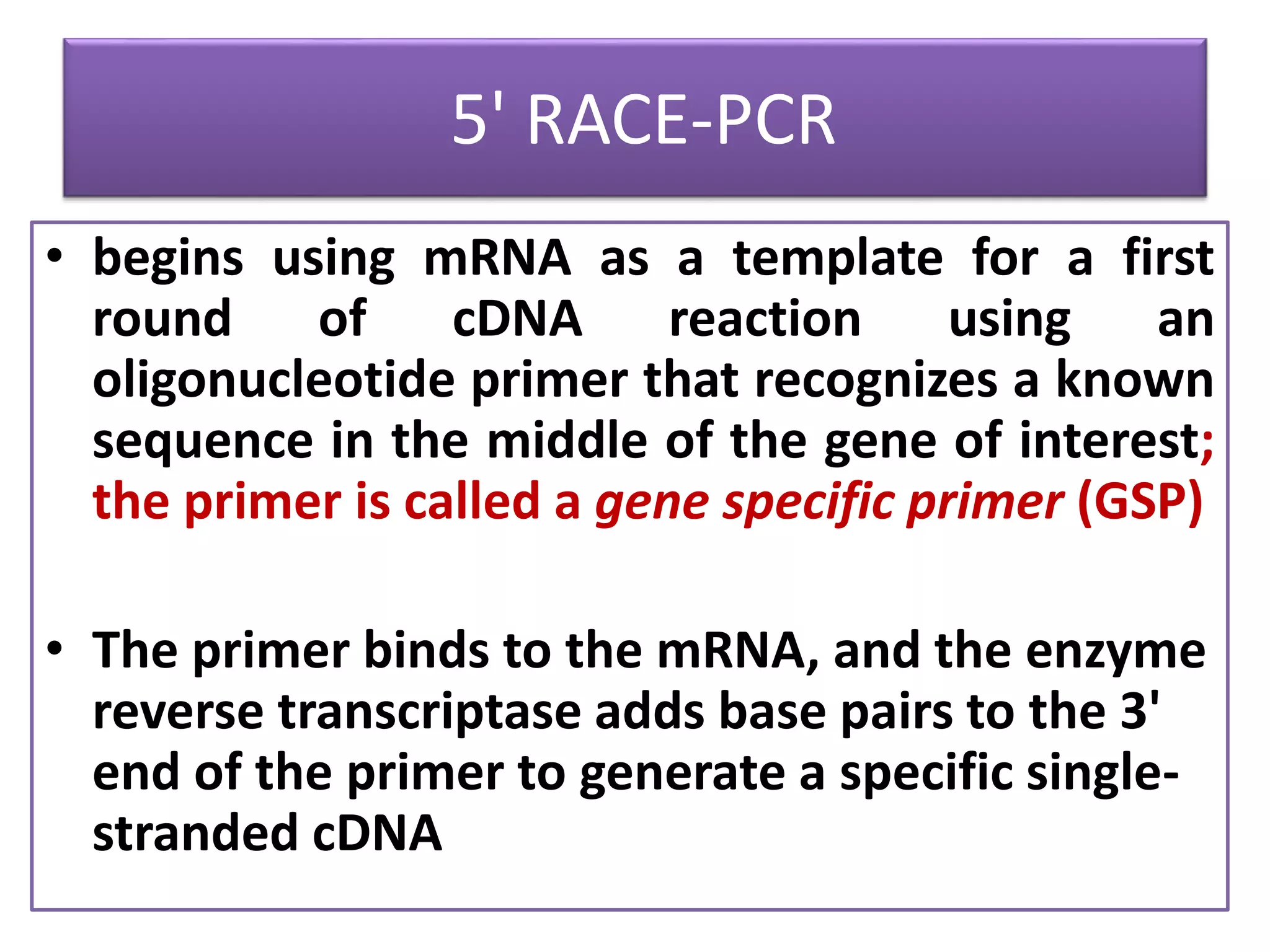 Rapid amplification of c-DNA ends | PPTX