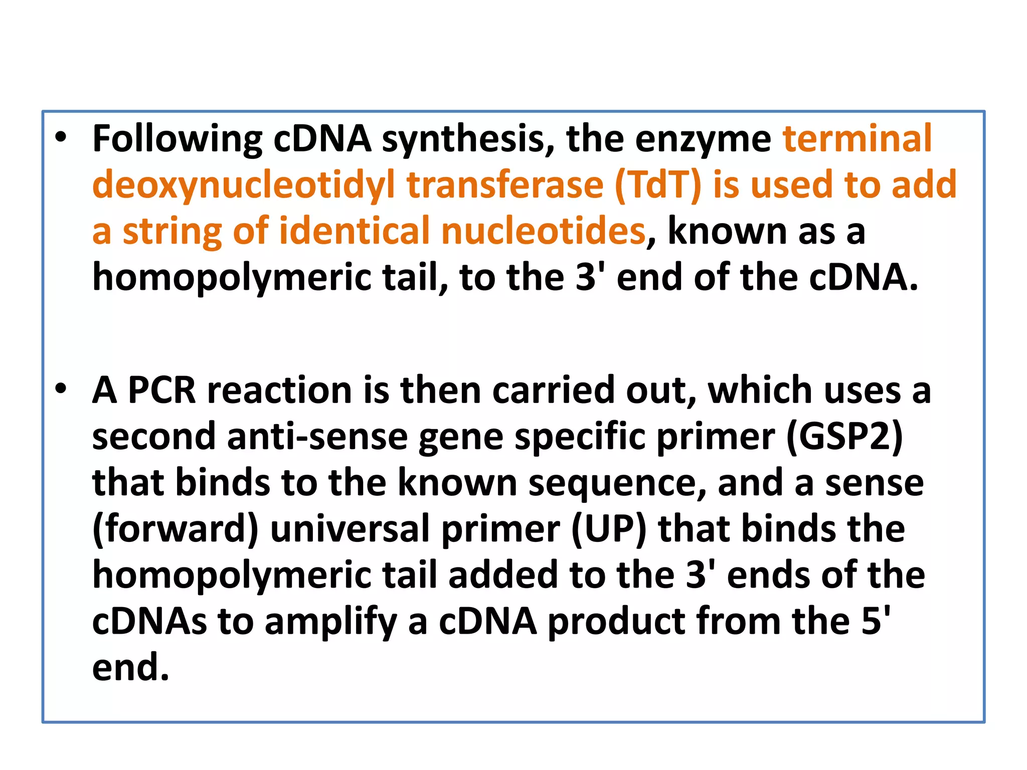 Rapid amplification of c-DNA ends | PPTX