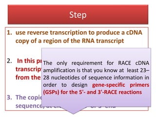 Rapid amplification of c-DNA ends | PPTX