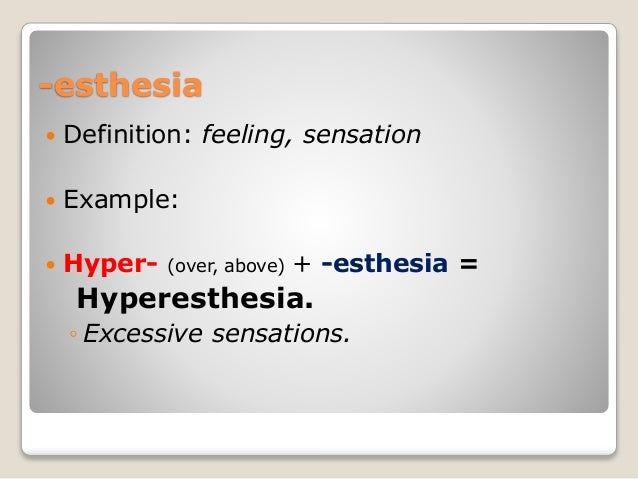 Chap 12 Nervous System