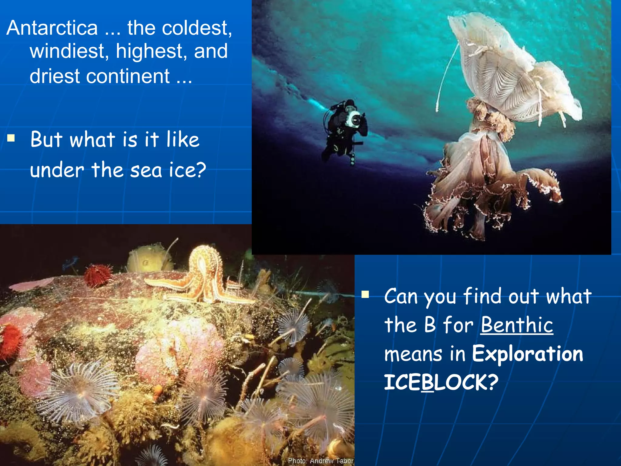 Antarctica Exploration ICEBLOCK Intro for Children | PPT