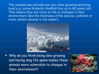 Antarctica Exploration ICEBLOCK Intro for Children | PPT