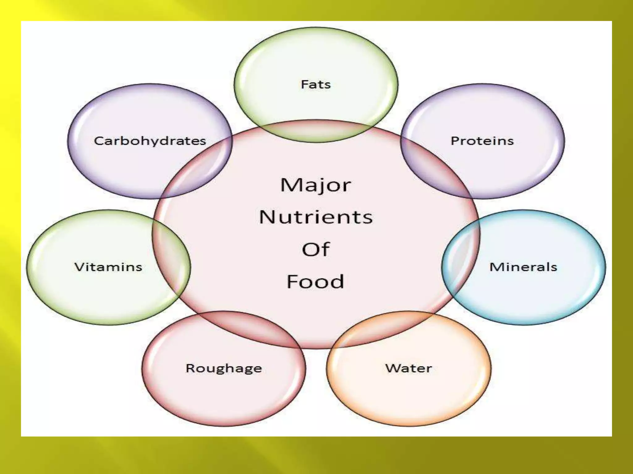 class 6 lesson 2 components of food | PPTX
