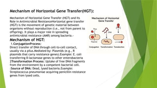 Evolution of antibiotic resistance: A microbial ecology prospective | PPTX
