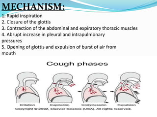 cough and dyspnea | PPTX