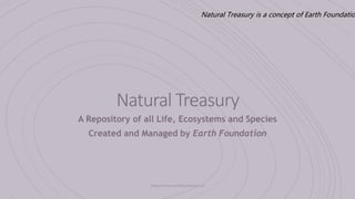 Earth Foundation Presentation | PPTX