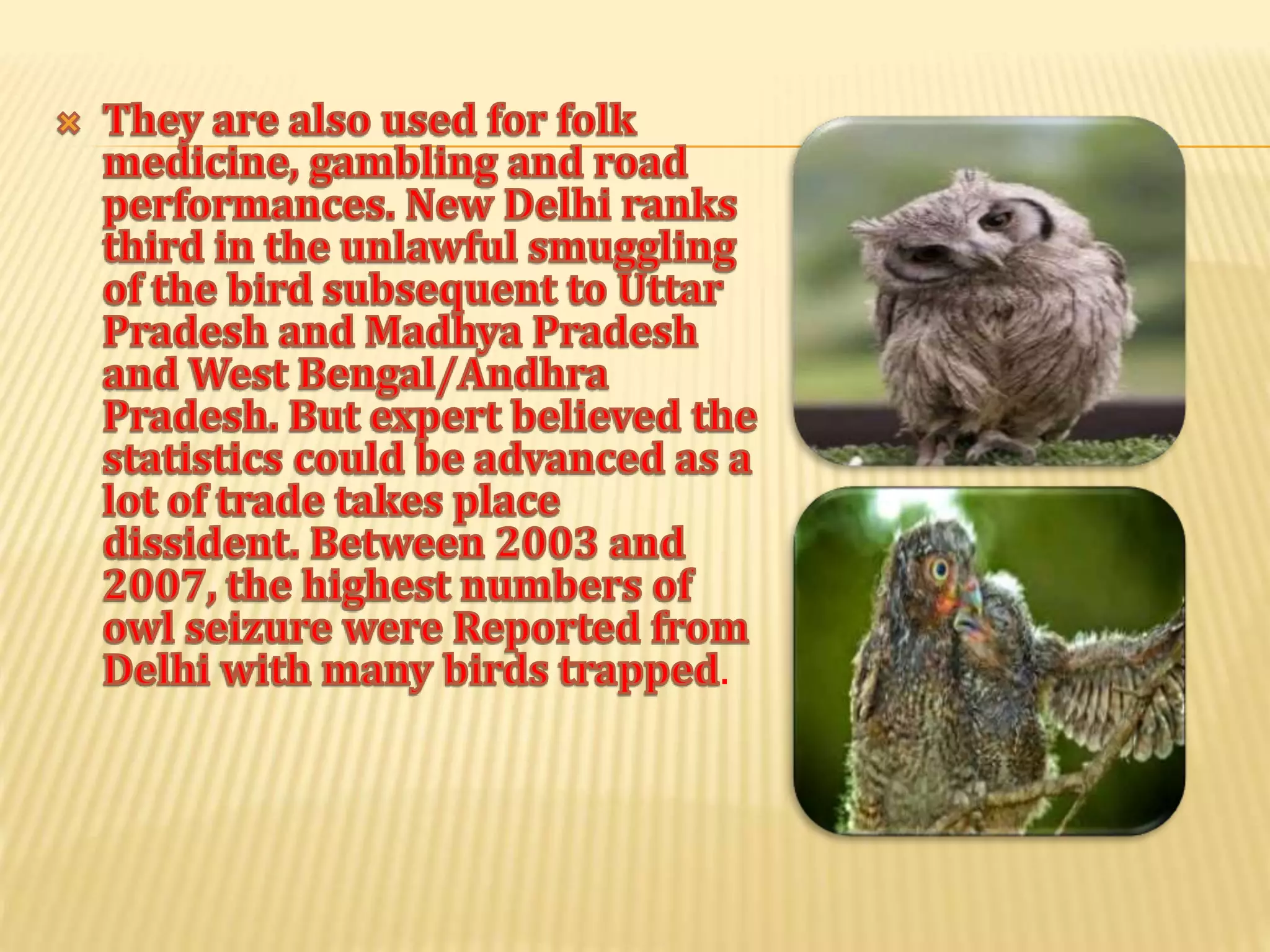 Extinct species India | PPTX
