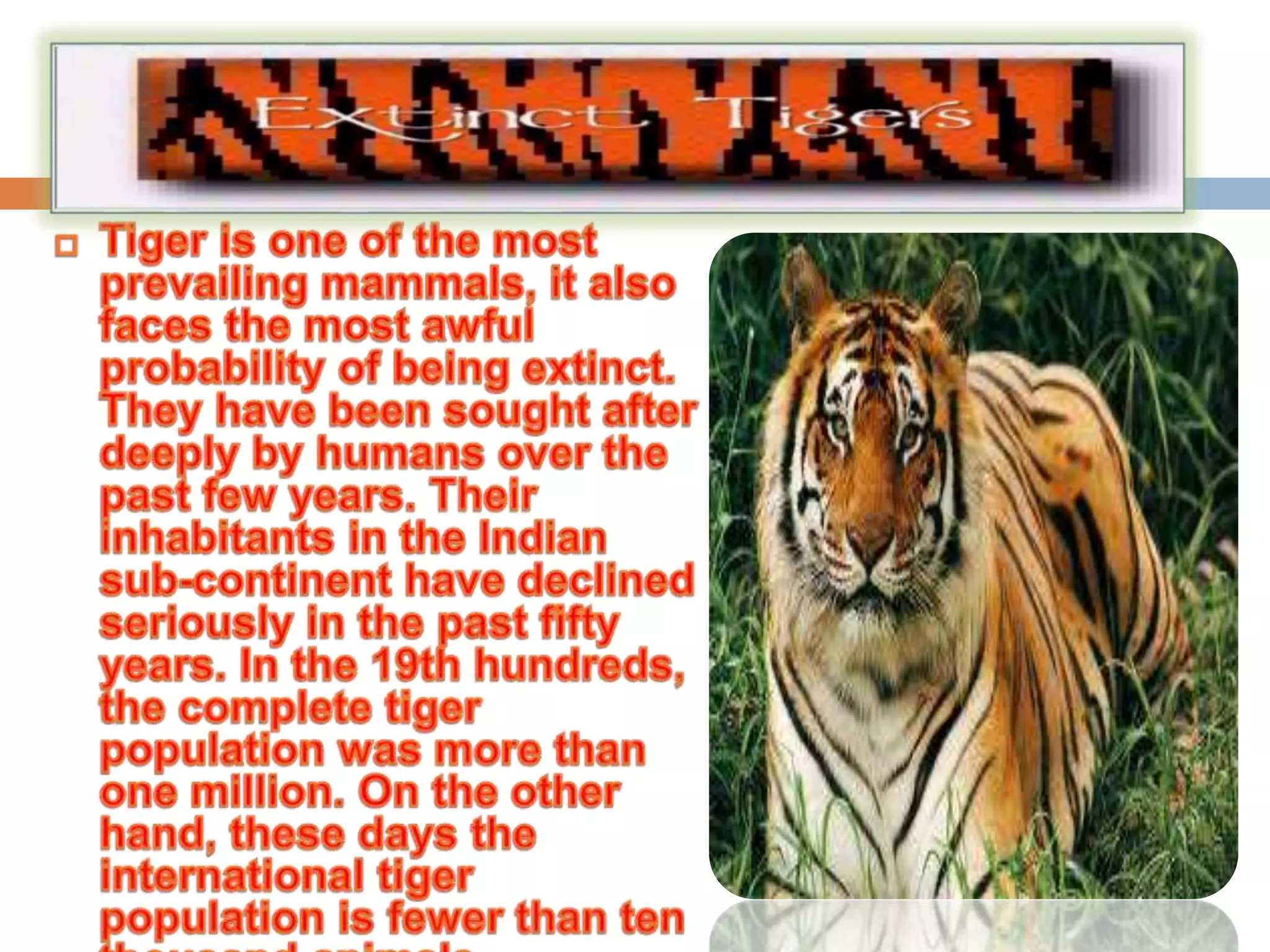 Extinct species India | PPTX