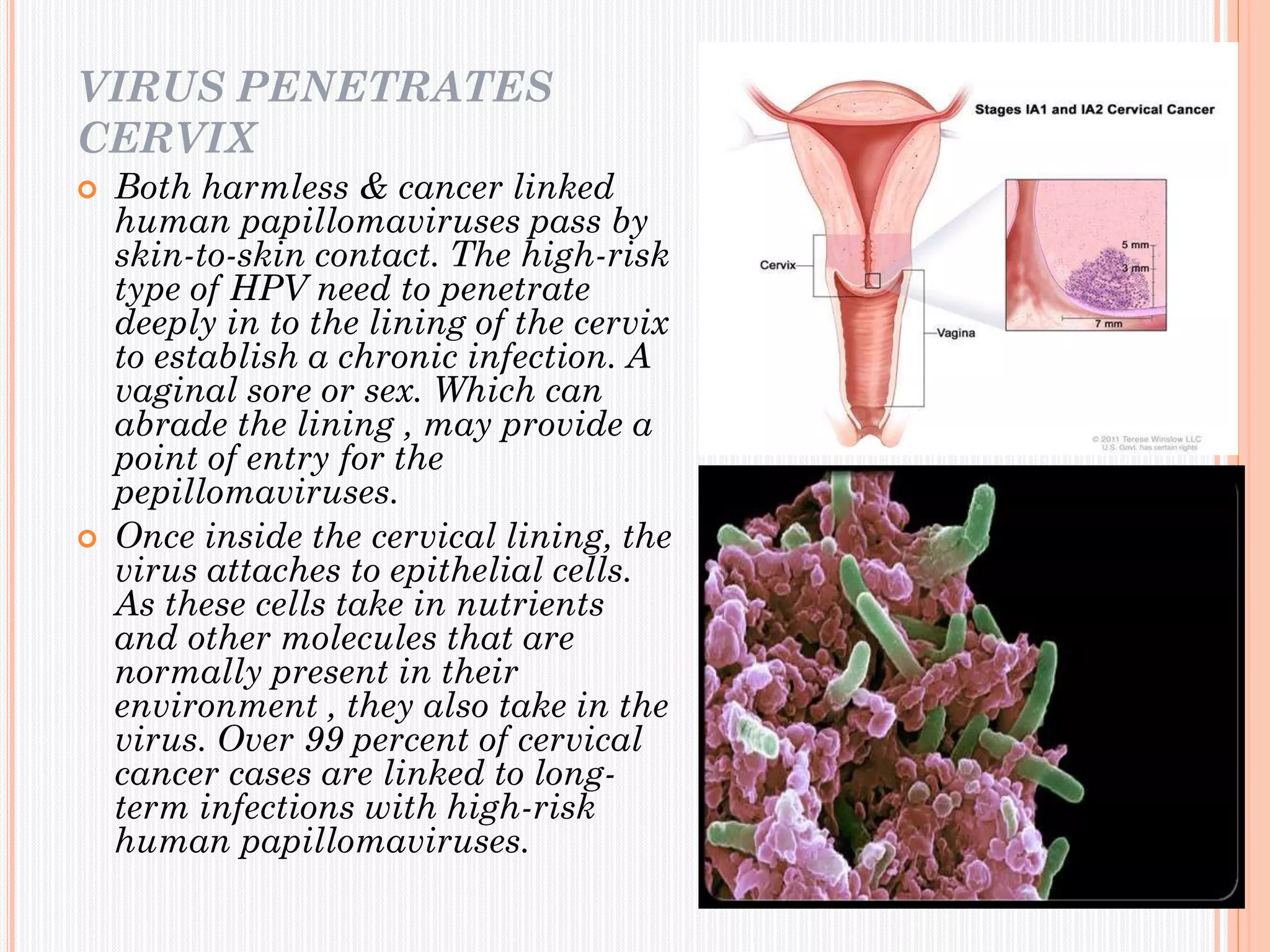 Cervical Cancer Presentation from Research india... | PPTX