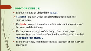 Presentation 2 Internal genital organs (2).pdf