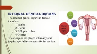 Presentation 2 Internal genital organs (2).pdf