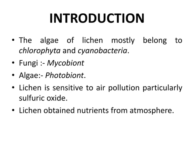 LICHENS | PPT