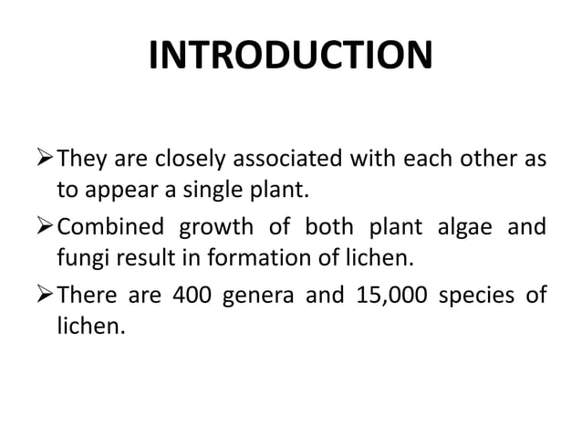 LICHENS | PPT
