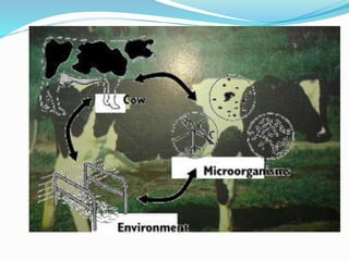 mastitis in animals | PPTX