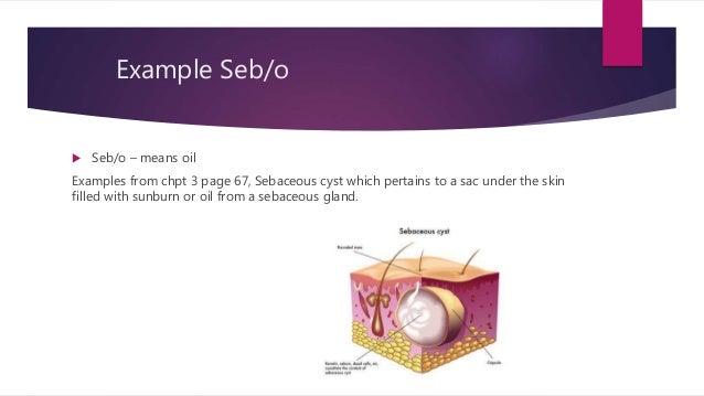 Presentation 2 medical terminolohy