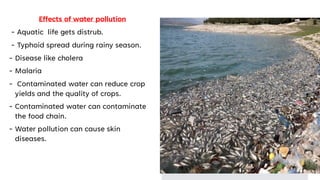 Enviromental pollution Presentation topic | PPT