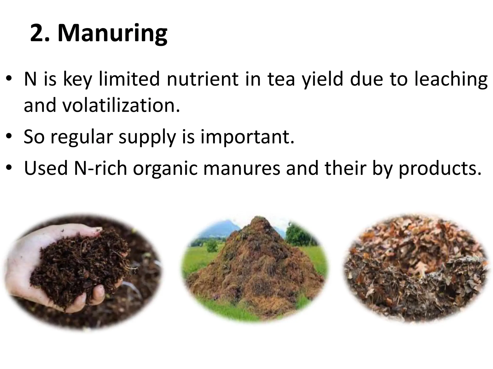 Organic tea cultivation & production in Sri Lanka | PPTX