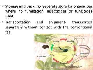 Organic tea cultivation & production in Sri Lanka | PPTX