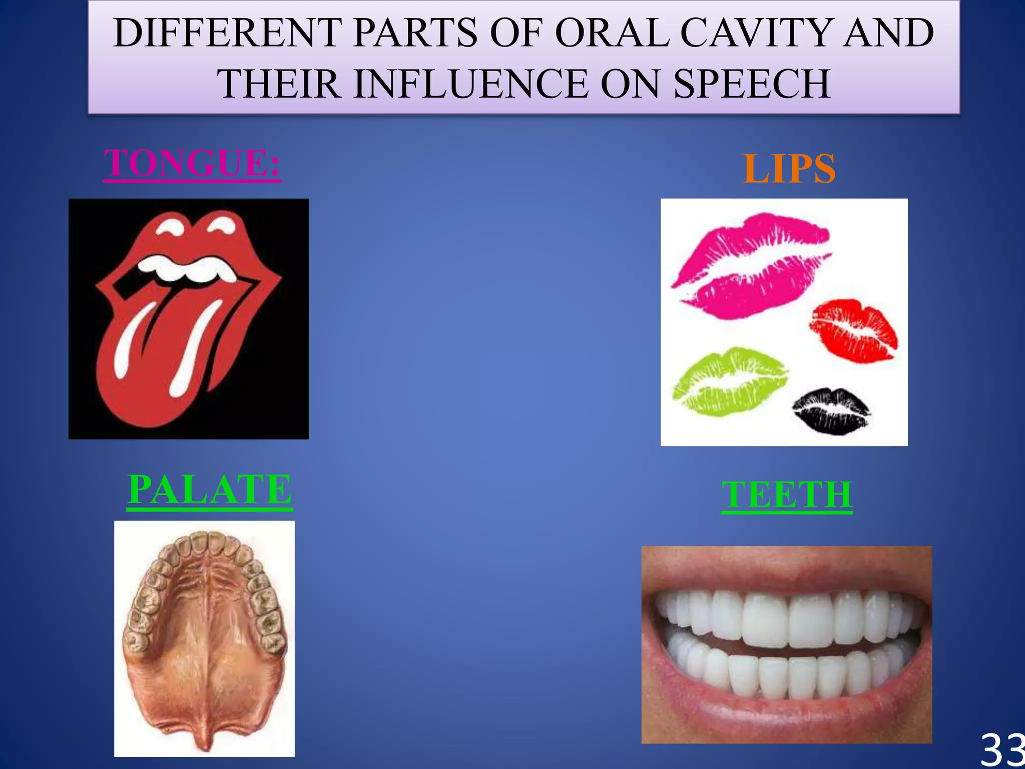 Presentation 2 phonetic in prosthodontic | PPTX