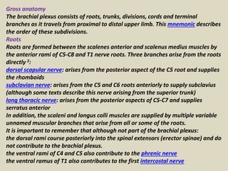 Presentation2, radiological imaging of brachial plexus pathology. | PPTX