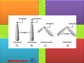 Presentation2 rahil | PPTX