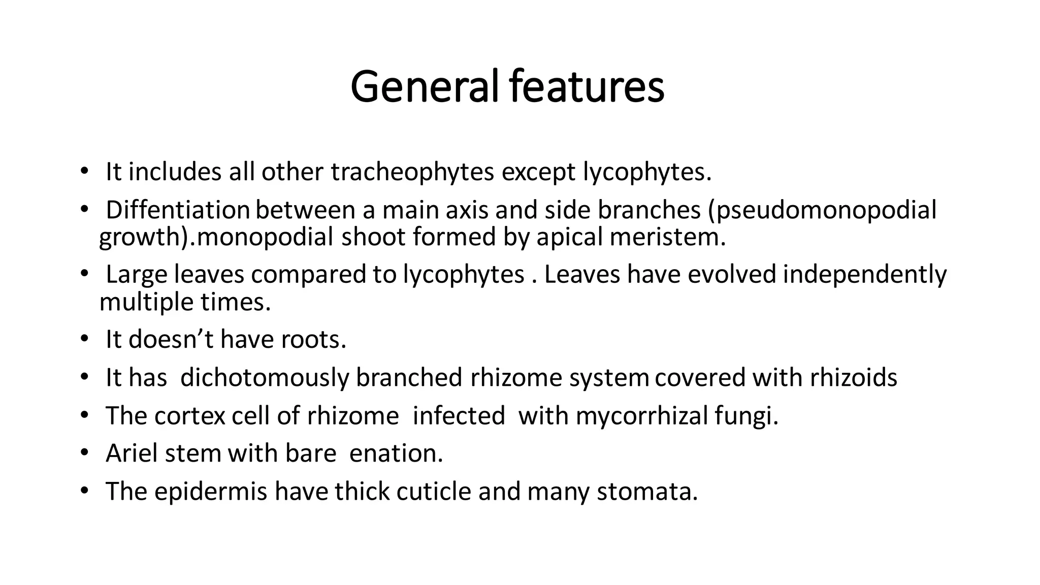 Monilophyta, Ancient plant group of Pteridophytes | PPT