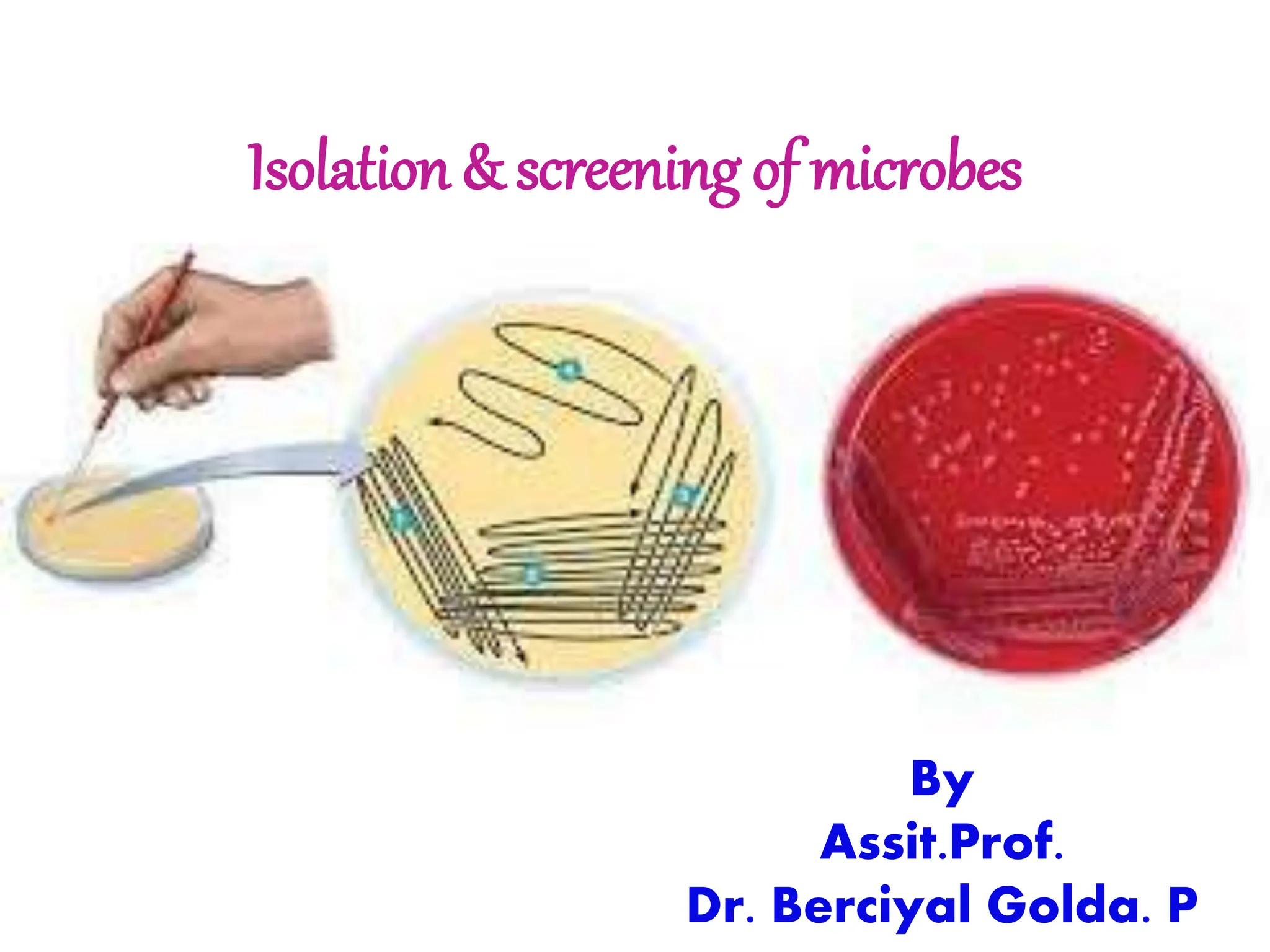 presentation2unit1isolationscreeningofmicrobes-220424105902.pdf | Infectious Diseases | Diseases ...