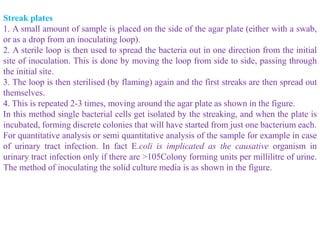 presentation2unit1isolationscreeningofmicrobes-220424105902.pdf