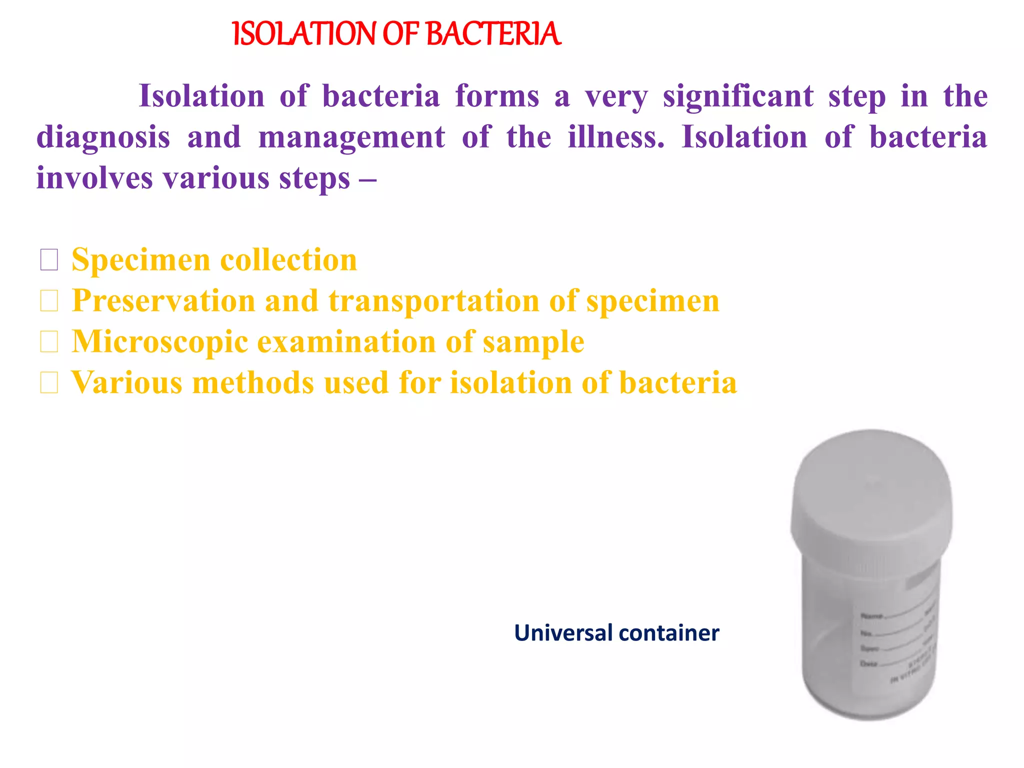 Isolation & screening of microbes.pptx