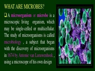 Isolation & screening of microbes.pptx