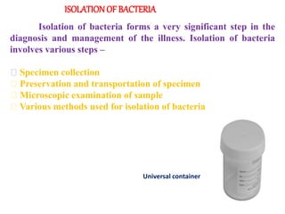 Isolation & screening of microbes.pptx