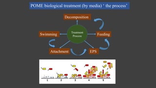 Sustainable Approach Of Recycling Palm Oil Mill Effluent Using ...