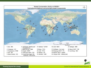 Preliminary findings of CIFOR study on REDD+ proponent challenges | PPT