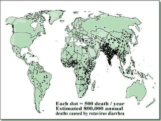 Rotavirus - Simplified Virology, Statistics, Symptoms, Vaccination ...