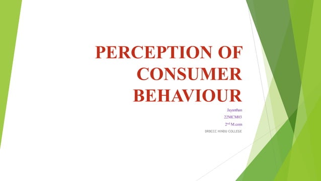 PERCEPTION OF CONSUMER BEHAVIOUR | PDF