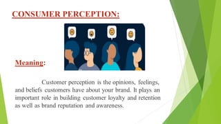 PERCEPTION OF CONSUMER BEHAVIOUR | PDF