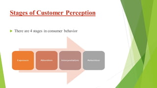 PERCEPTION OF CONSUMER BEHAVIOUR | PDF