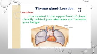 Topic -- Thymus gland , Thymus gland ppt | PPTX