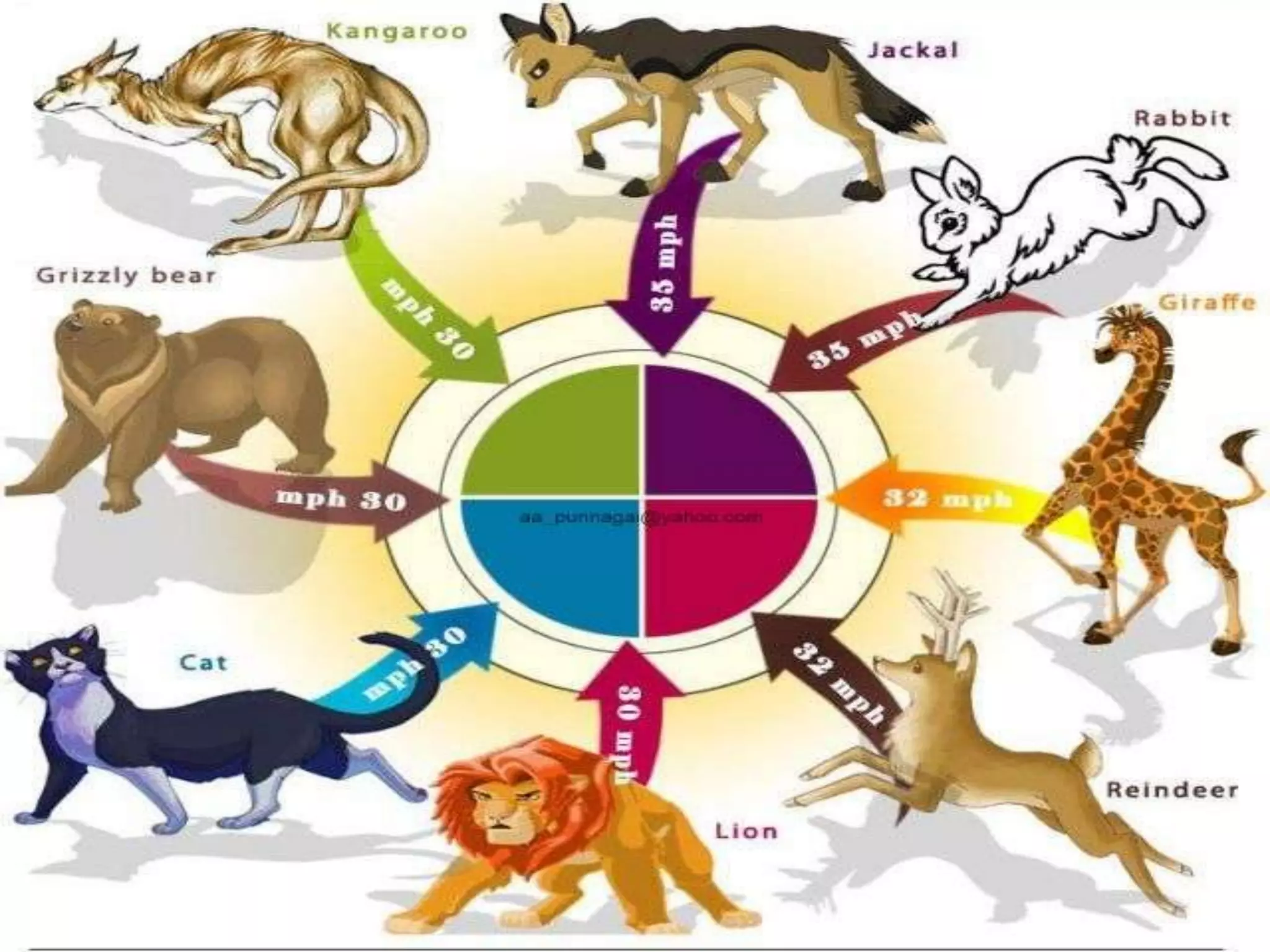 Fastest and Slowest Animals.. | PPTX