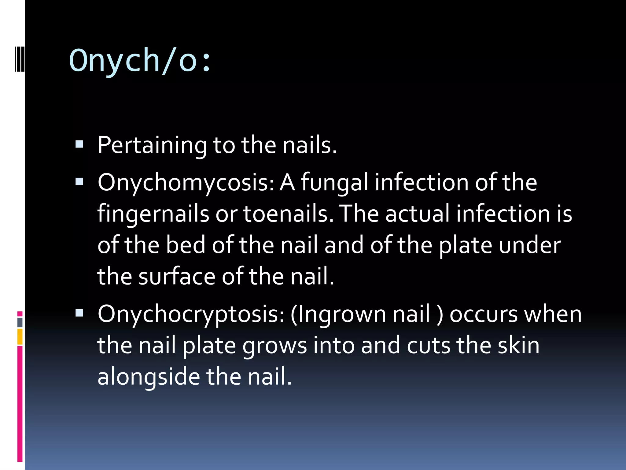 Presentation 3 | PPTX