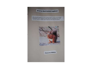 ABC book of Africa | PPT