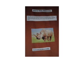 ABC book of Africa | PPSX