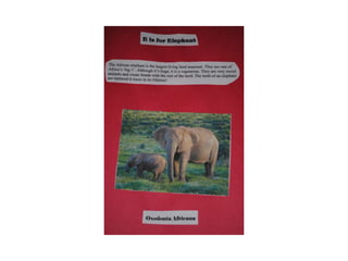 ABC book of Africa | PPSX